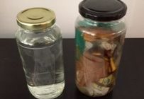 G2T2 Science – Week 1 – Euka Future Learning