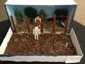 G10T2 English – Week 1 Lesson 5 – Euka Future Learning