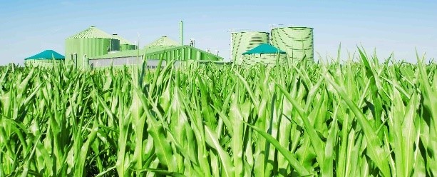 G2T2 Science – Week 1 – Euka Future Learning